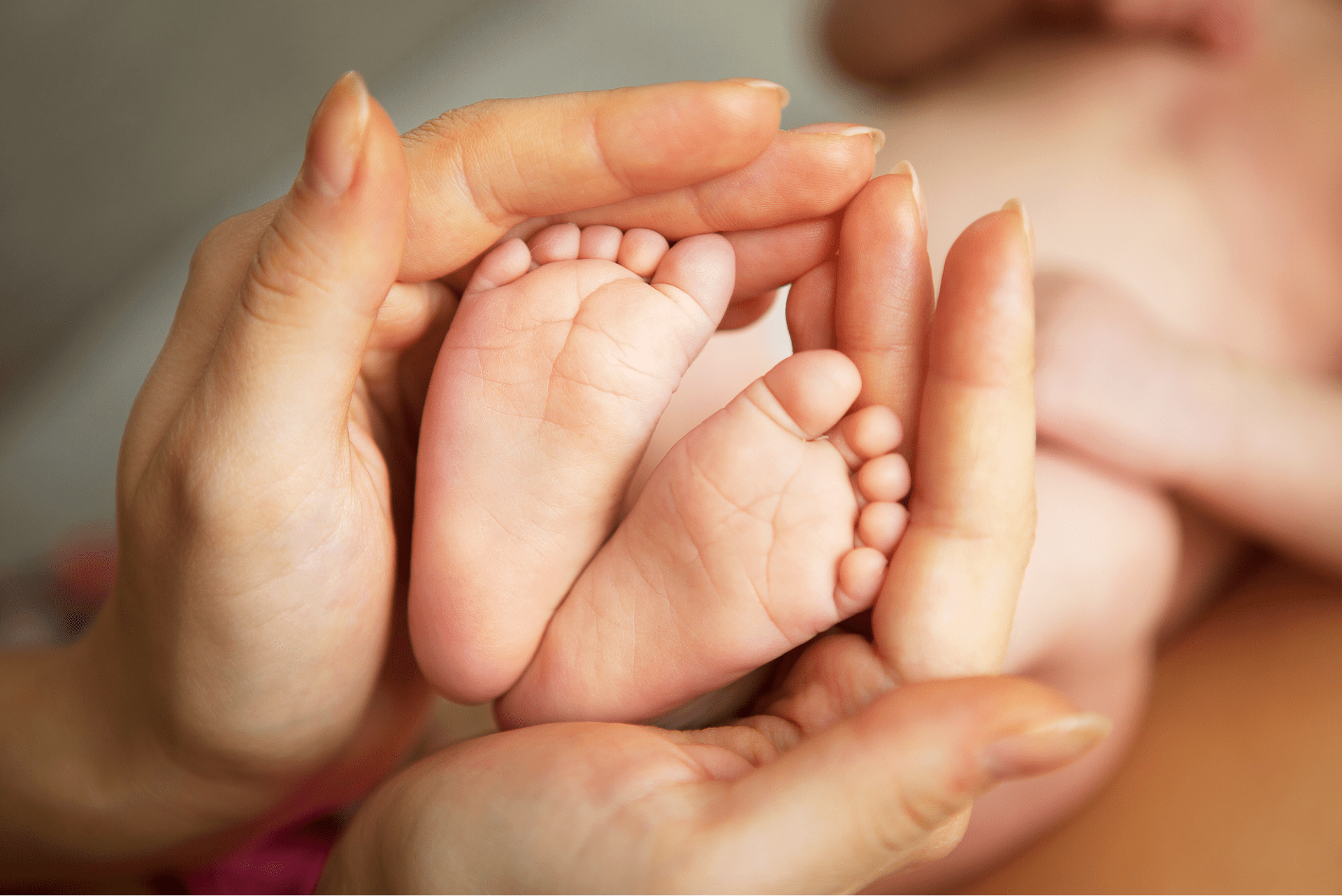 Conception Program (6 months only) - Doctor Rekha